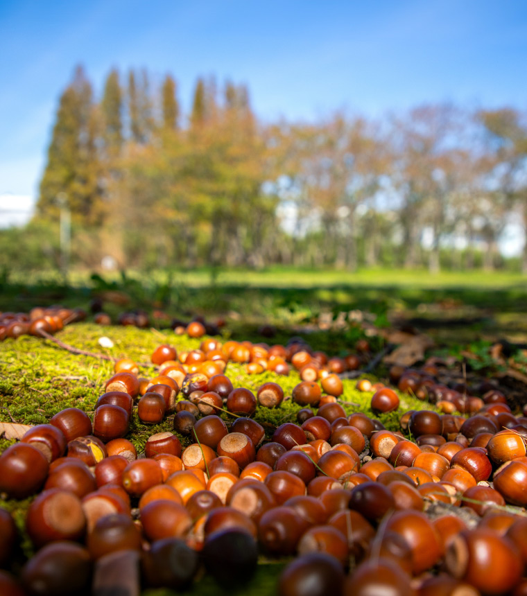 SANC 메시지 | SANC Official Site | 건강한 제품을 만드는 SANC [신앙촌]