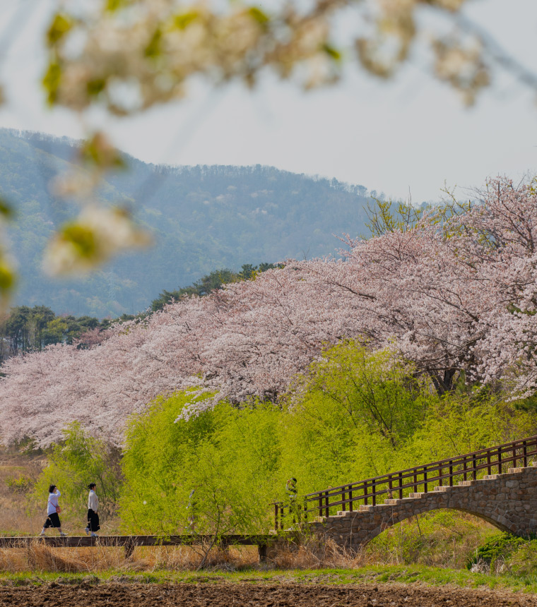 SANC 메시지 | SANC Official Site | 건강한 제품을 만드는 SANC [신앙촌]