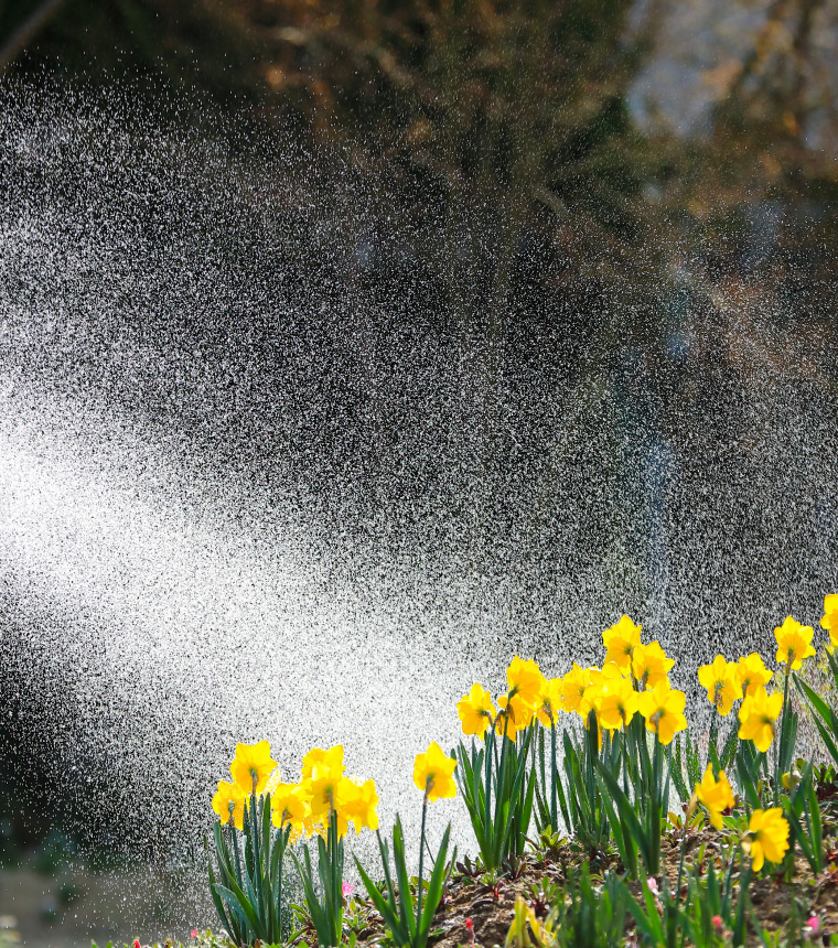 SANC 메시지 | SANC Official Site | 건강한 제품을 만드는 SANC [신앙촌]